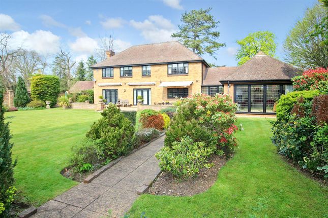 Harmer Green Lane, Digswell, Welwyn AL6, 4 bedroom detached house for ...