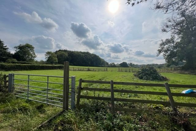 Wingfield Road, Oakerthorpe, Alfreton DE55, 2 bedroom bungalow to rent ...