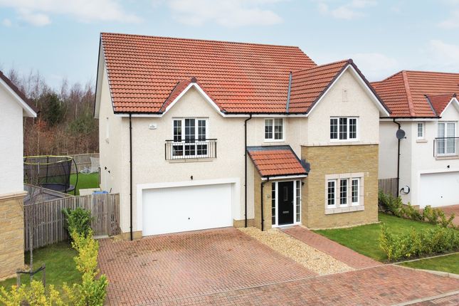 Homes for Sale in Falkirk - Buy Property in Falkirk - Primelocation