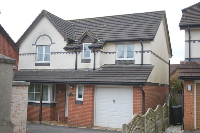 Homes to Let in Exmouth - Rent Property in Exmouth - Primelocation