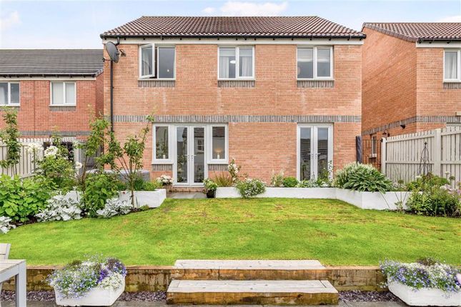 Homes for Sale in Falkirk - Buy Property in Falkirk - Primelocation