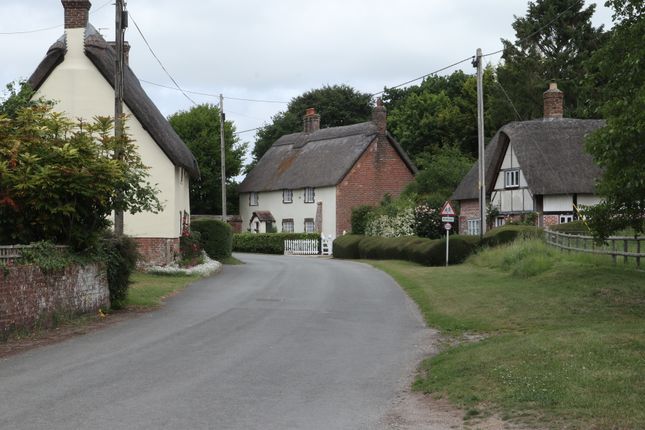 West Street, Shapwick DT11, pub/bar for sale - 70568763 | PrimeLocation