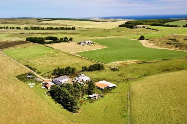 Northfield Farm, New Pitsligo, Fraserburgh, Aberdeenshire AB43, land ...
