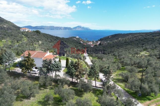 Pteleos 370 07, Greece, 3 bedroom detached house for sale - 66809778 ...