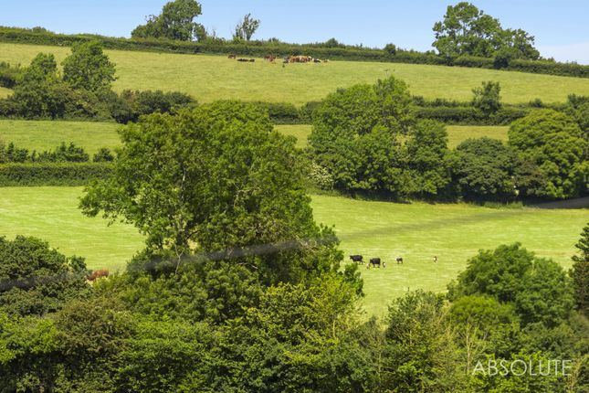 Stoke Road, Maidencombe TQ1, 3 bedroom semi-detached house for sale ...