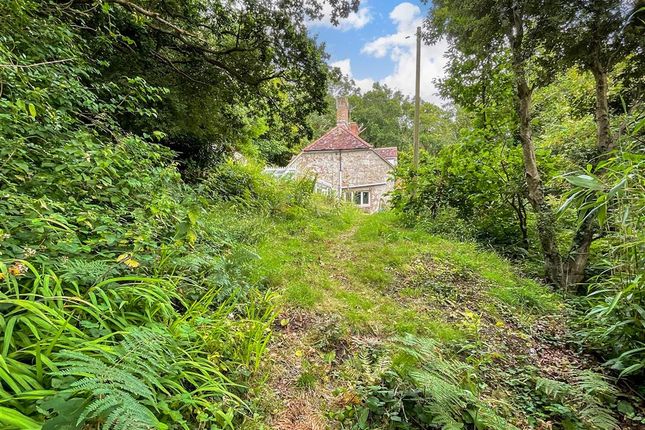 Apse Manor Road, Shanklin, Isle Of Wight PO37, 3 bedroom property for ...