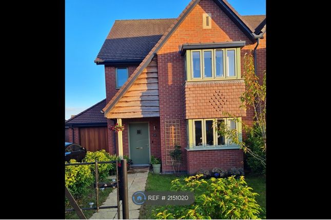 Homes to Let in Exmouth - Rent Property in Exmouth - Primelocation