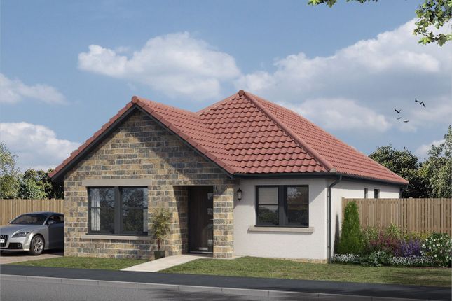 The Avenue Lochgelly Ky5 4 Bedroom Detached Bungalow For Sale