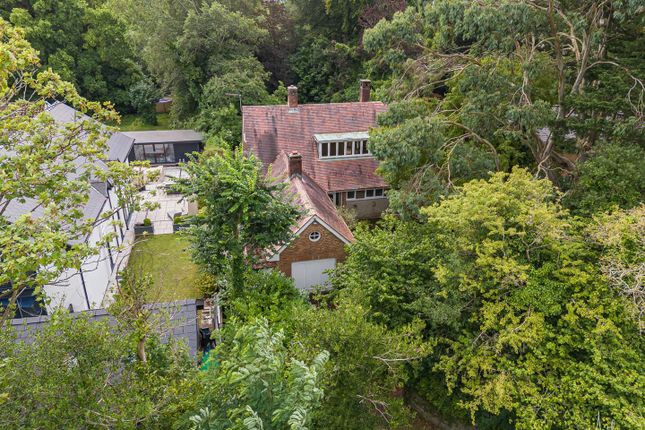 Beech Tree Lane, Derwen Fawr, Sketty, Swansea SA2, 5 bedroom detached ...