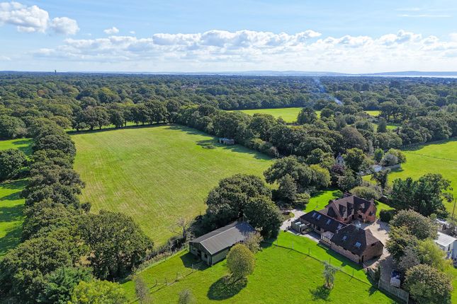 Bashley Cross Road, Bashley BH25, 6 bedroom detached house for sale ...