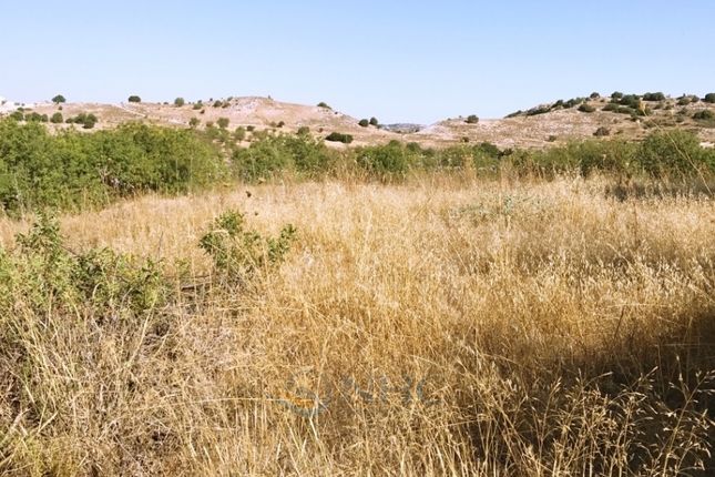 Lemona, Paphos, Cyprus, land for sale - 62593562 | PrimeLocation