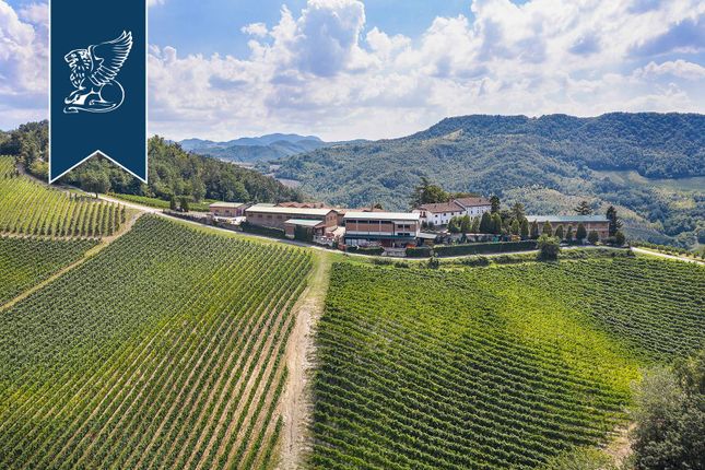 Borgo Priolo, Pavia, Lombardia, farm for sale - 62881636 | PrimeLocation