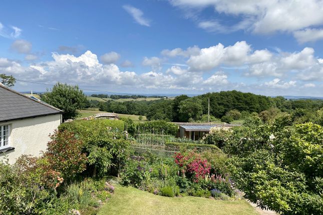 Dunchideock, Exeter EX6, 3 bedroom cottage for sale - 55762172 ...
