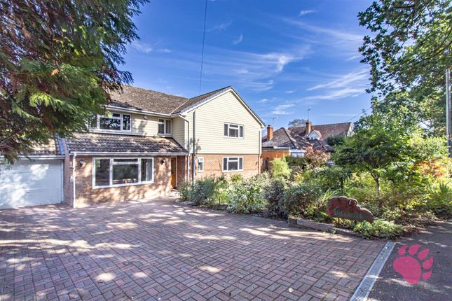 Homes for Sale in Little Baddow - Buy Property in Little Baddow ...