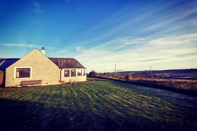 Homes to Let in Forfar - Rent Property in Forfar - Primelocation