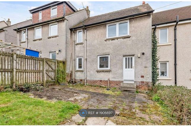 Rainhill Avenue, Maddiston, Falkirk FK2, 3 bedroom terraced house to ...