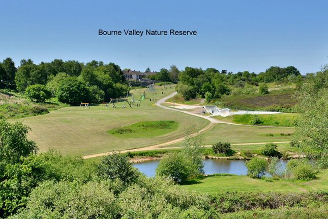 Evering Avenue, Poole BH12, 7 bedroom detached house for sale ...