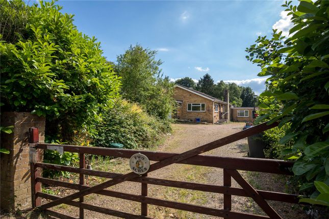 Woodham Park Road, Woodham, Surrey KT15, 4 bedroom bungalow for sale ...
