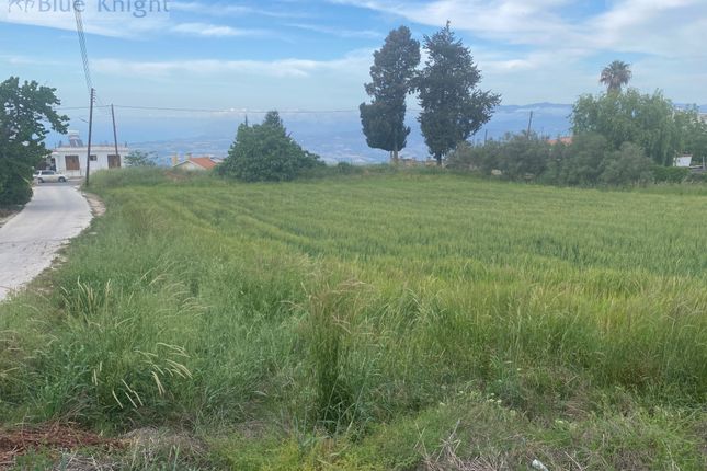 Drouseia, Cyprus, land for sale - 61484040 | PrimeLocation