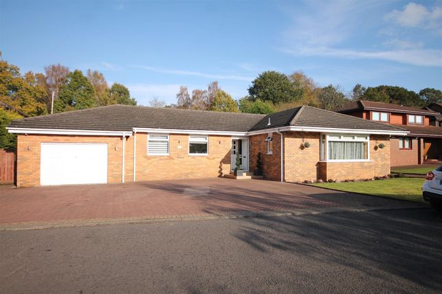 Homes for Sale in Bothwell - Buy Property in Bothwell - Primelocation