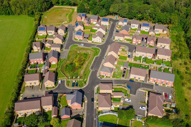 Grafton Drive, Highfields Caldecote, Cambridge CB23, 4 bedroom detached ...