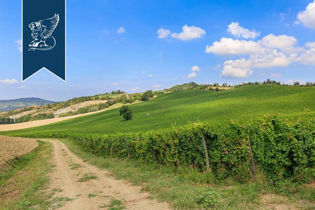 Borgo Priolo, Pavia, Lombardia, farm for sale - 62881636 | PrimeLocation