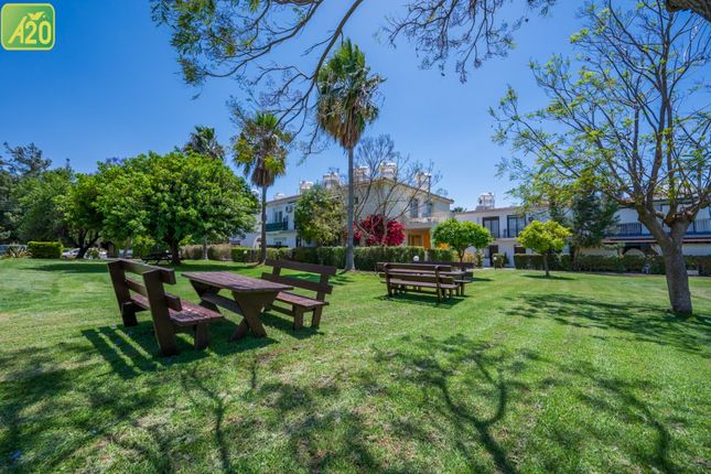 Prodromi, Polis, Cyprus, 1 bedroom apartment for sale - 67303993 ...