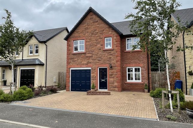 Bertram House Carnwath | puffin house bleg berryu