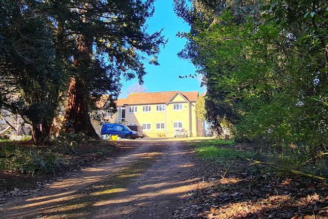 Homes to Let in Sawtry - Rent Property in Sawtry - Primelocation