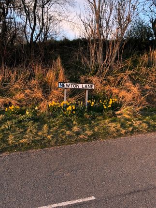 Newton Lane, Binbrook, Market Rasen LN8, 3 bedroom detached house for ...