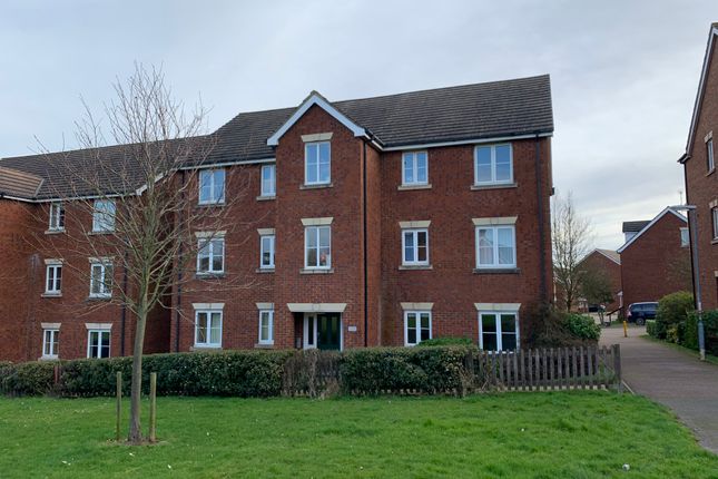 Homes to Let in Daventry - Rent Property in Daventry - Primelocation