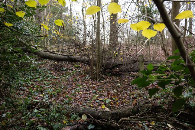 Bashurst Hill, Itchingfield, Horsham RH13, land for sale - 66913316 ...