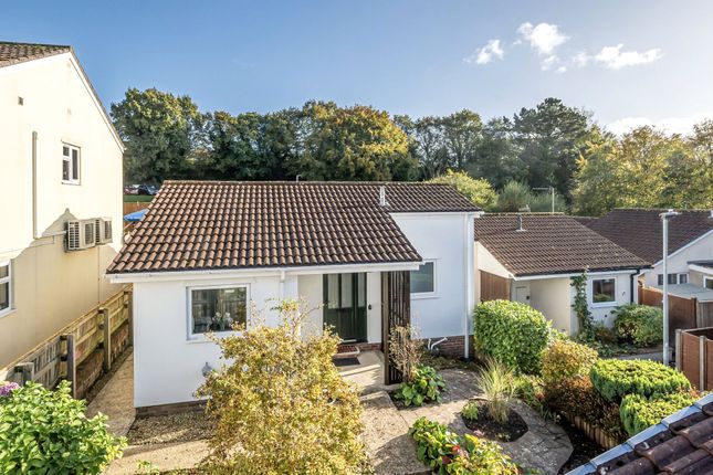 Roman Way, Honiton, Devon EX14, 1 bedroom bungalow for sale - 68593067 ...