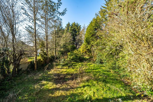 Chestnut Drive, Harrow Weald, Harrow HA3, 4 bedroom semi-detached house ...