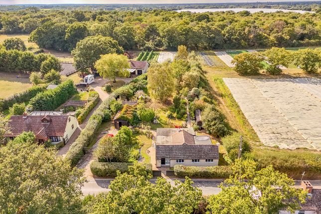 Frating Road, Thorrington, Colchester CO7, 3 bedroom bungalow for sale ...