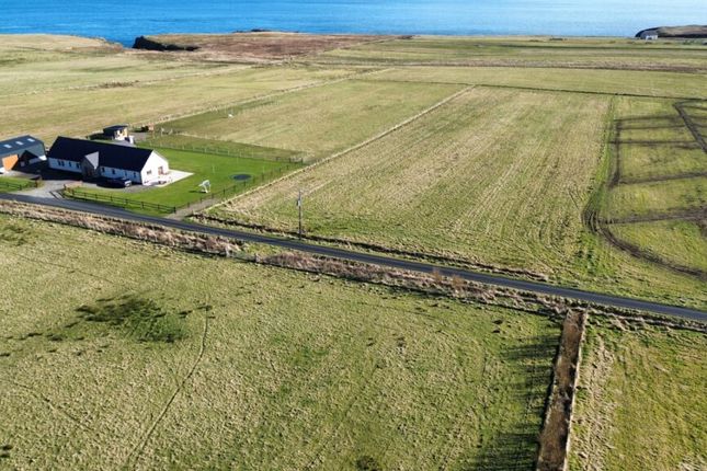 Plot Of Land At Whitecairn, Sarclet, Thurmster KW1, land for sale ...