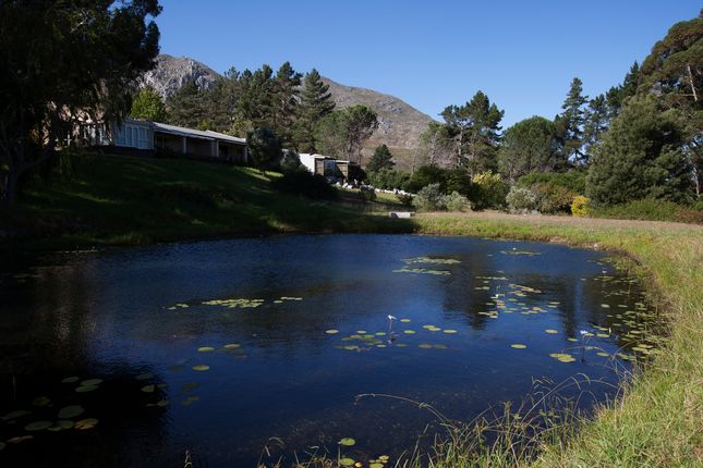 Blue Gum Country Estate R326, Stanford Rural, Western Cape, South ...