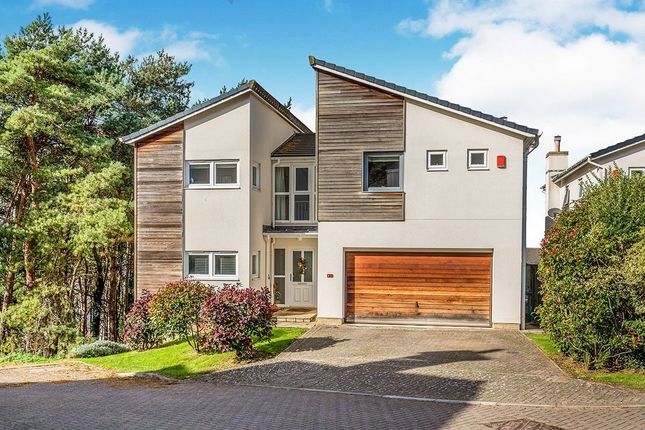 Homes for Sale in Portishead - Buy Property in Portishead - Primelocation