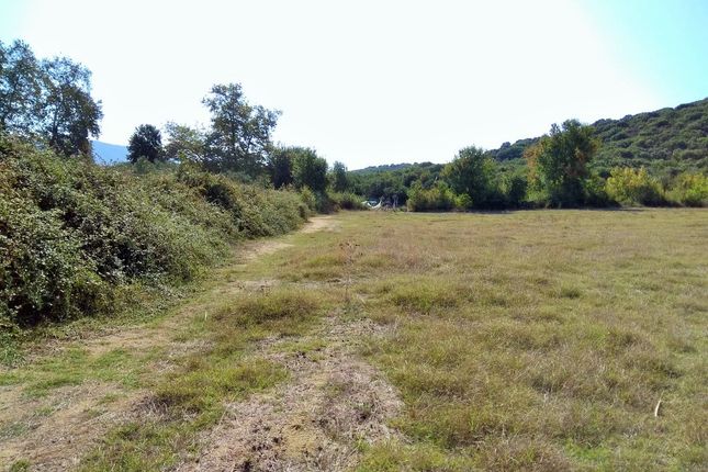 Agion Oros, Kilkis, Gr, land for sale - 69598131 | PrimeLocation