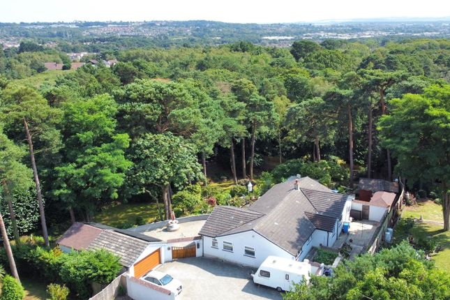 Houses for Sale in Broadstone, Dorset - Broadstone, Dorset Houses to ...
