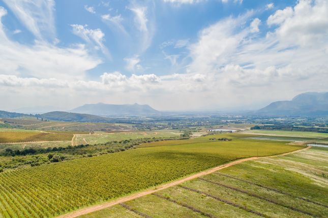 Plaisir Wine Estate Farm 8, Simondium, Cape Winelands, Western Cape ...