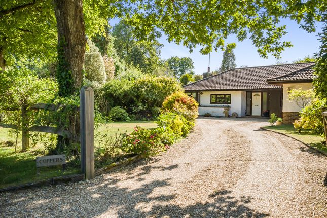 Henry Adams Storrington Rh20 Property For Sale From Henry Adams Storrington Estate Agents