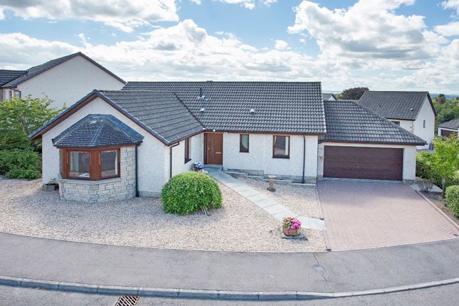 Homes for Sale in New Scone - Buy Property in New Scone - Primelocation