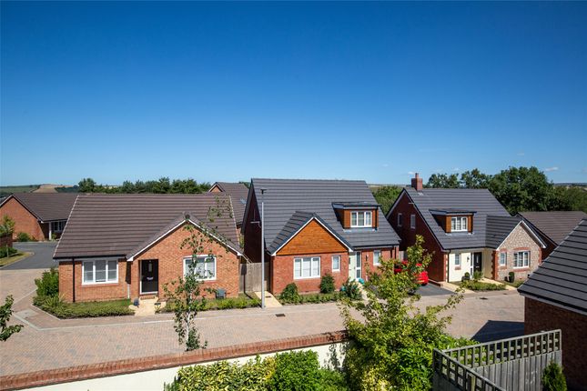 Bee Meadow, North Road, South Molton, Devon EX36, 2 bedroom bungalow ...