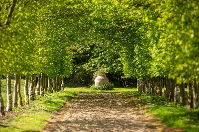 Roundway, Devizes, Wiltshire SN10, 5 bedroom detached house for sale ...