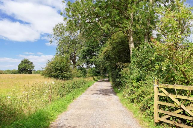 Photos of Burkham, Alton, Hampshire GU34 - 67779346 | PrimeLocation