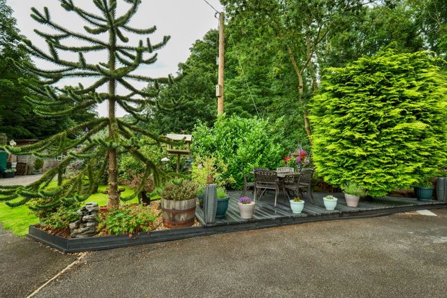 Amisfield, Amisfield, Dumfries, Dumfries DG1, 4 bedroom detached house ...