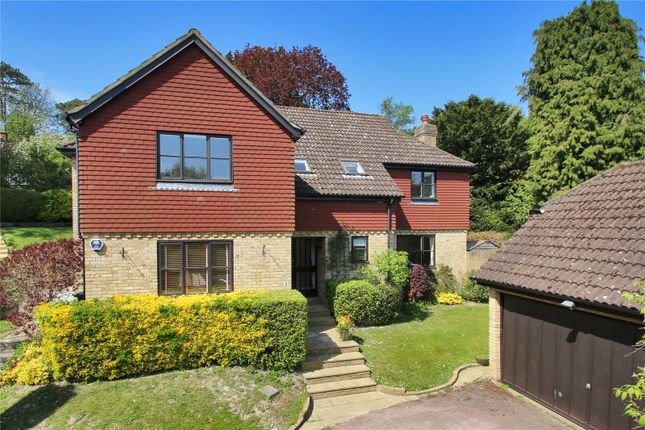 Houses for Sale in Reigate - Reigate Houses to Buy - Primelocation