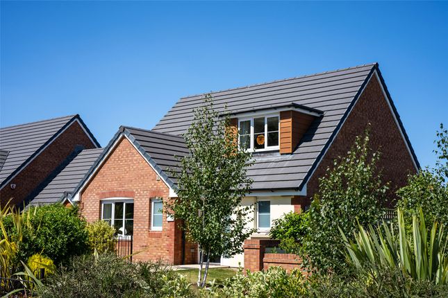 Bee Meadow, North Road, South Molton, Devon EX36, 3 bedroom bungalow ...