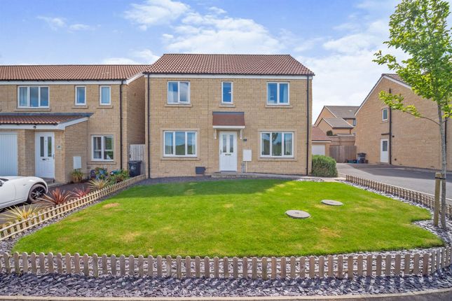 Homes for Sale in Frome - Buy Property in Frome - Primelocation